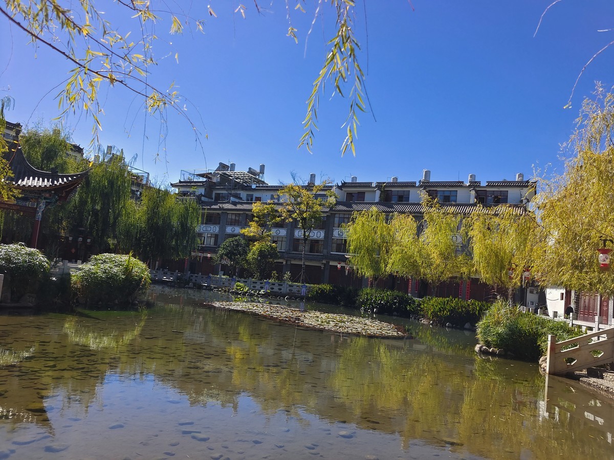 随拍一181-中关村在线摄影论坛