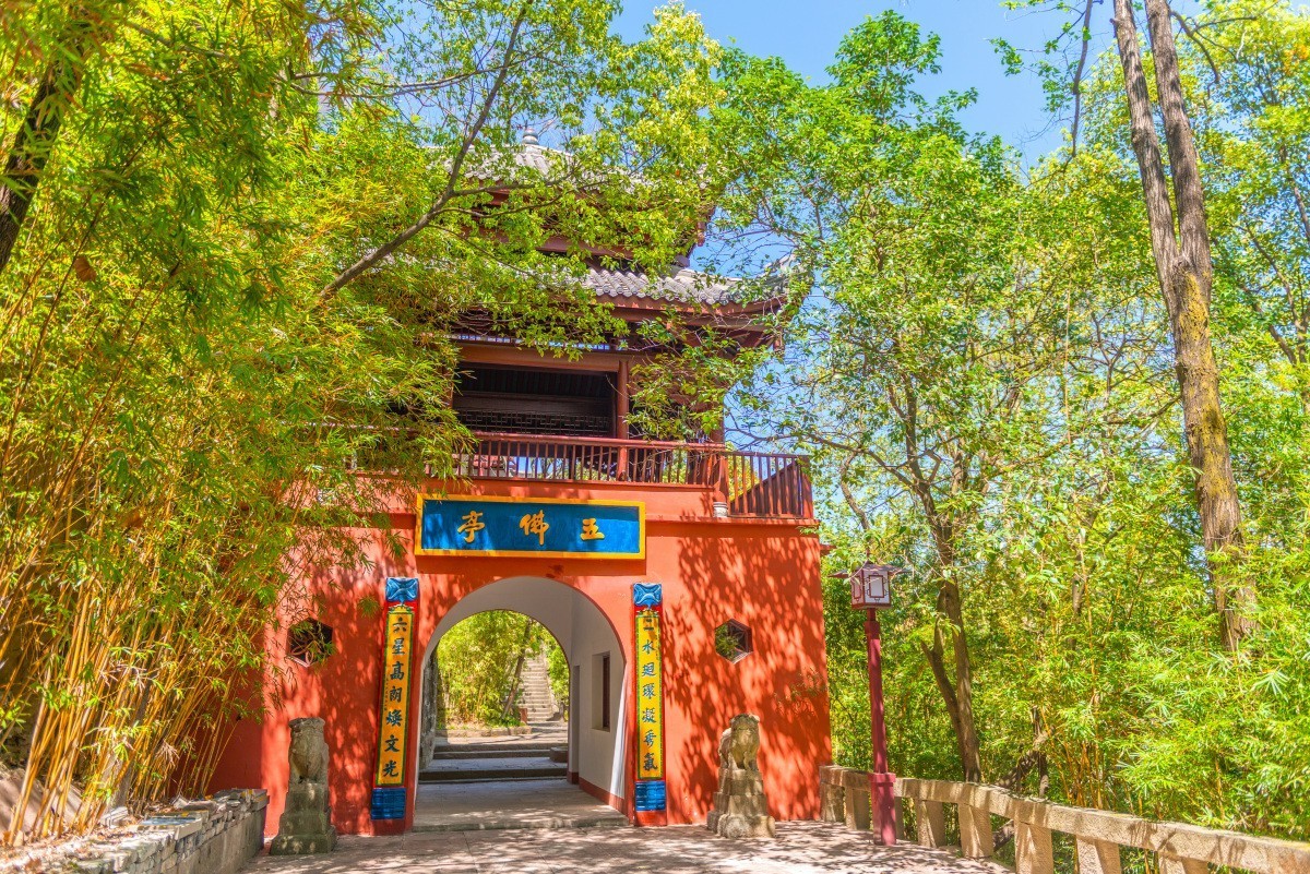 自驾游20230404皇泽寺-中关村在线摄影论坛