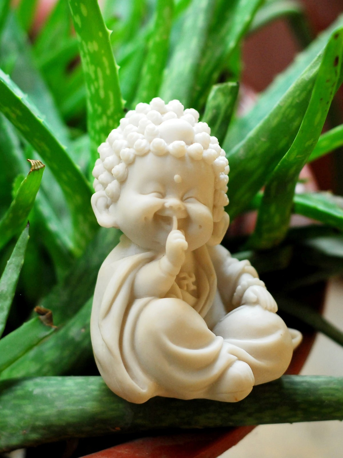 D70S-中关村在线摄影论坛