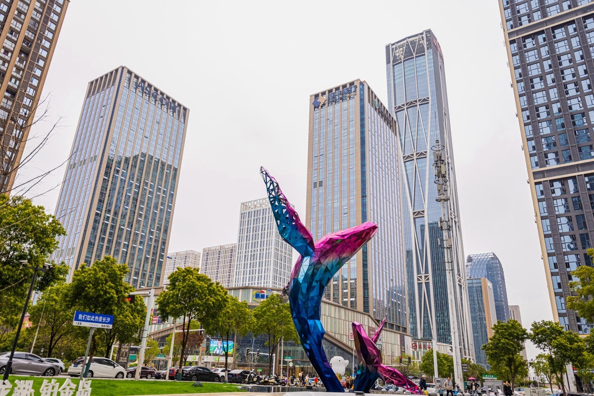 Z26/2.8与2470G、腾龙1530三镜头同时同景同参数画质比较-中关村在线摄影论坛