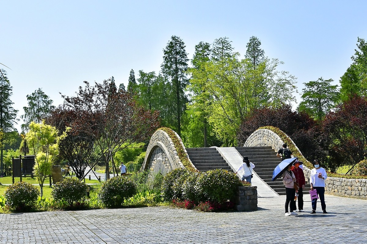 仙桃梦里水乡-中关村在线摄影论坛