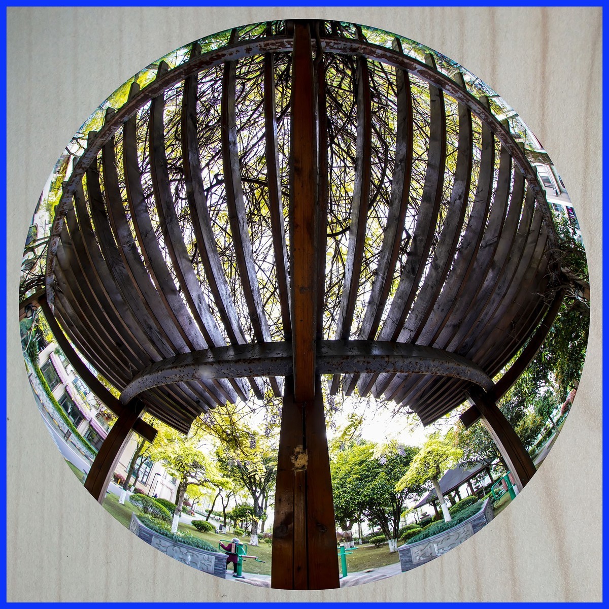 春色暖阳-中关村在线摄影论坛