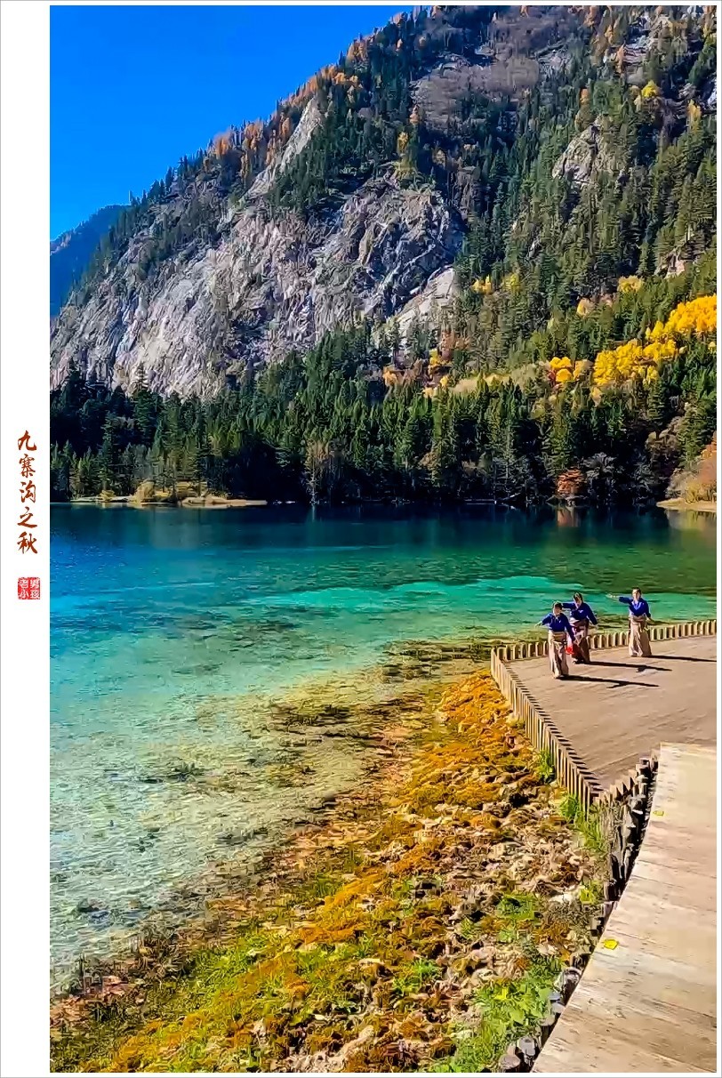 2022年第902贴-九寨沟云拍-293（1102F）-中关村在线摄影论坛