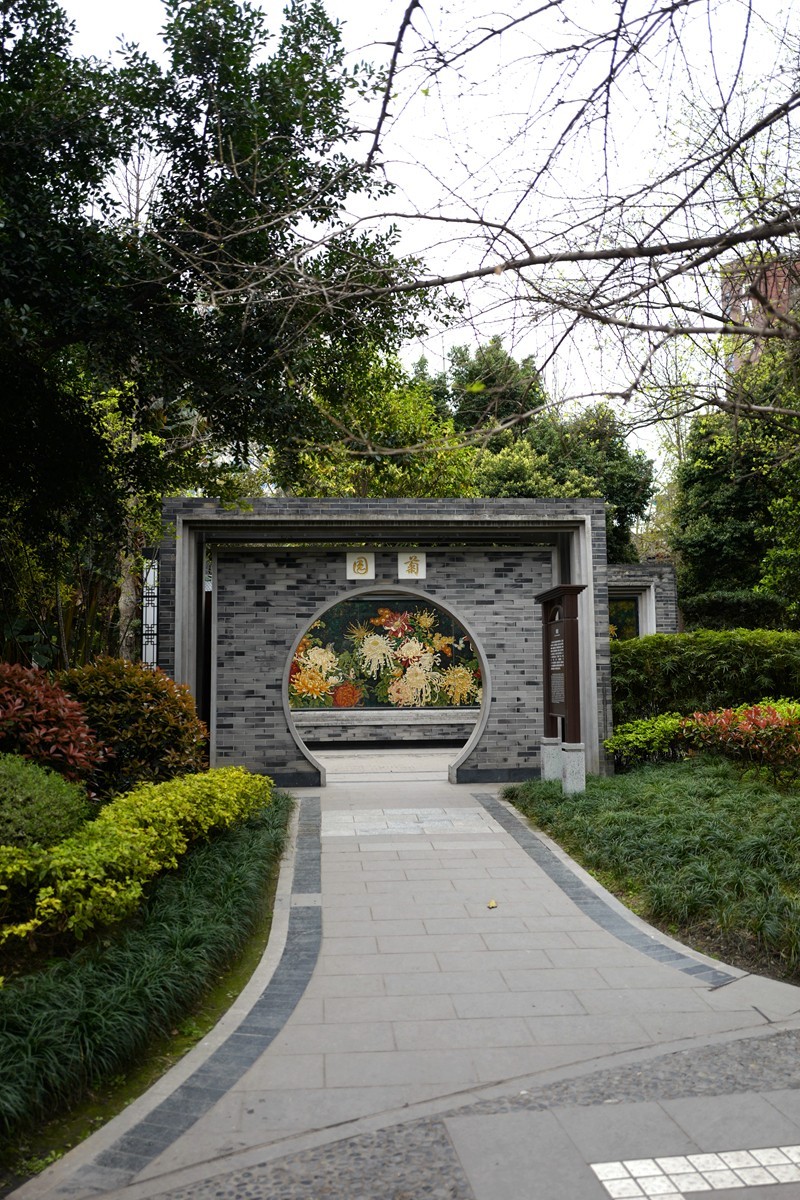 成都之行——人民公园（1）-中关村在线摄影论坛