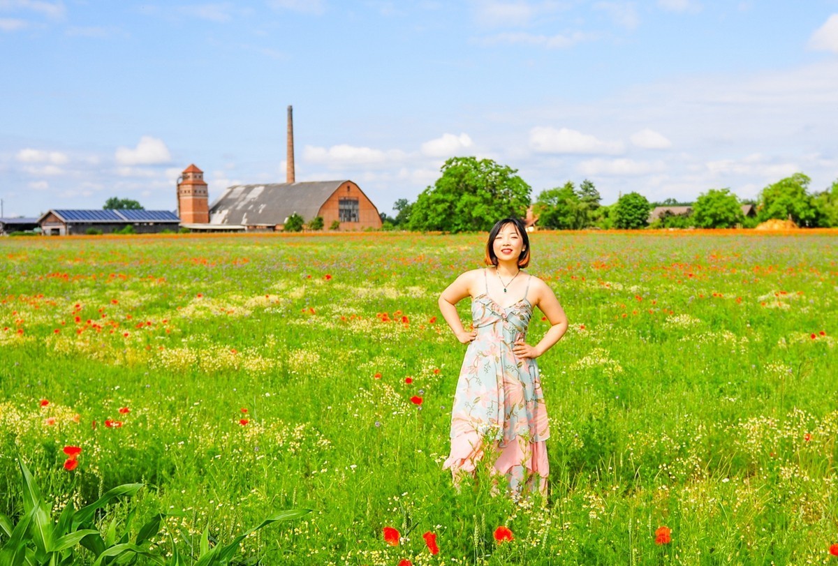 花海人影-中关村在线摄影论坛