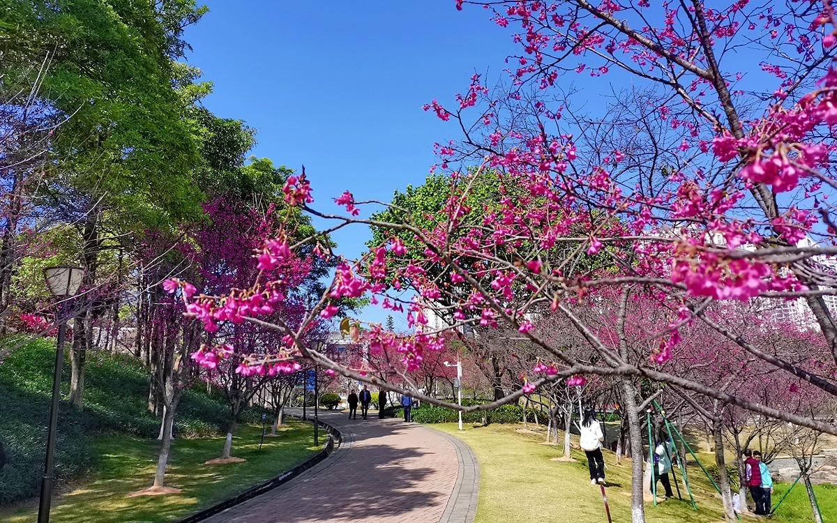 23067─ 春游创业公园（2）-中关村在线摄影论坛