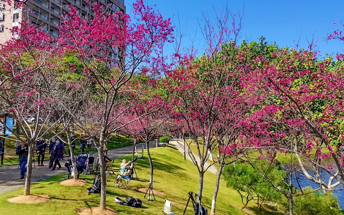 23067─ 春游创业公园（2）-中关村在线摄影论坛