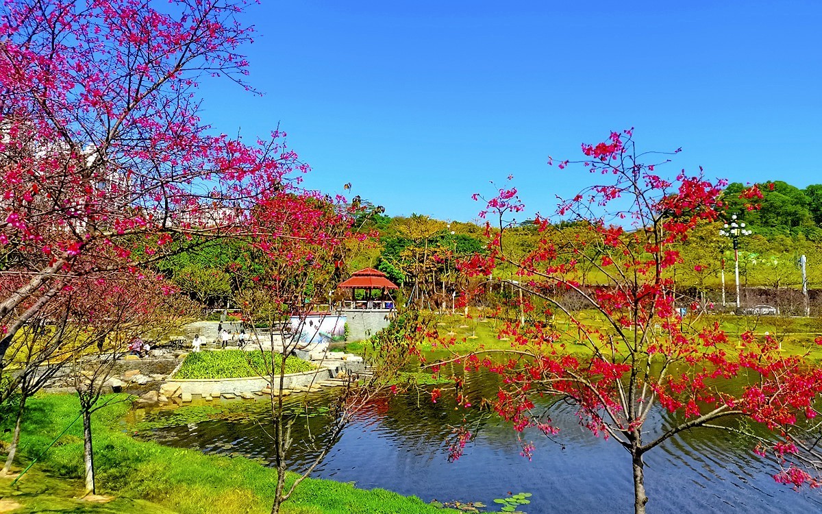 23067─ 春游创业公园（2）-中关村在线摄影论坛