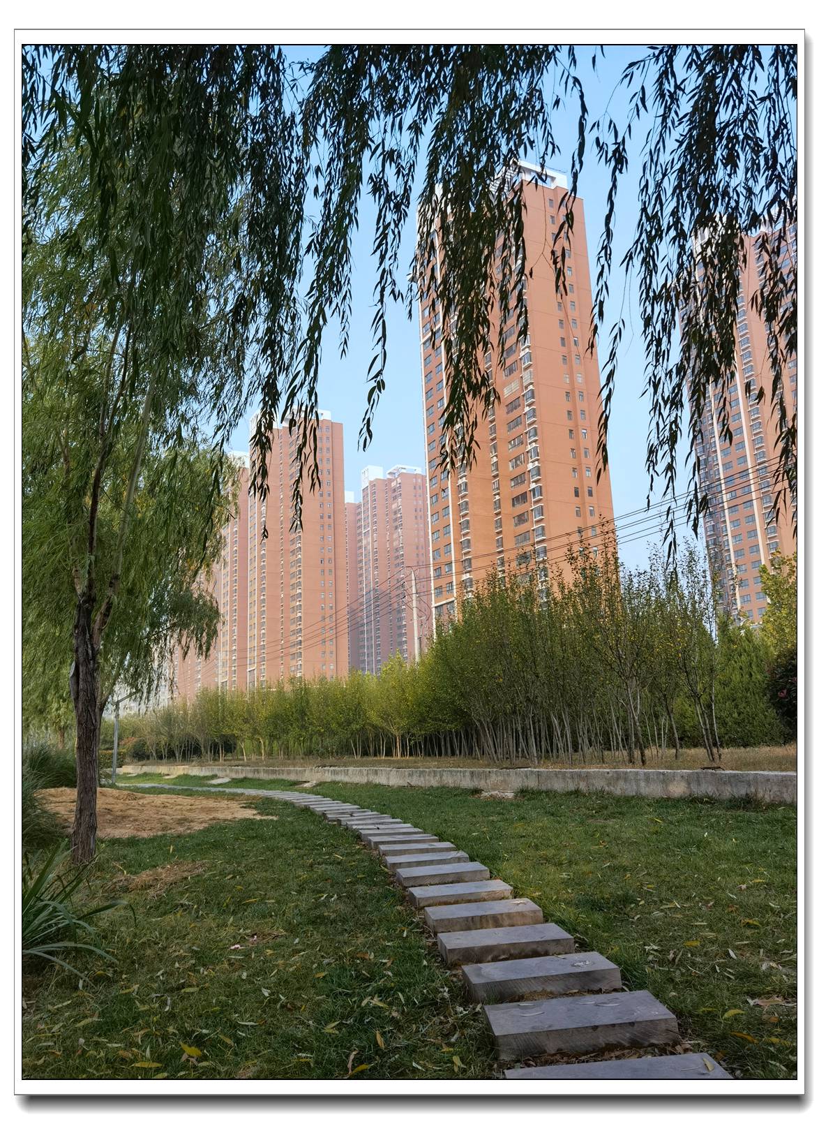 边走边拍 250【2022-0855】-中关村在线摄影论坛