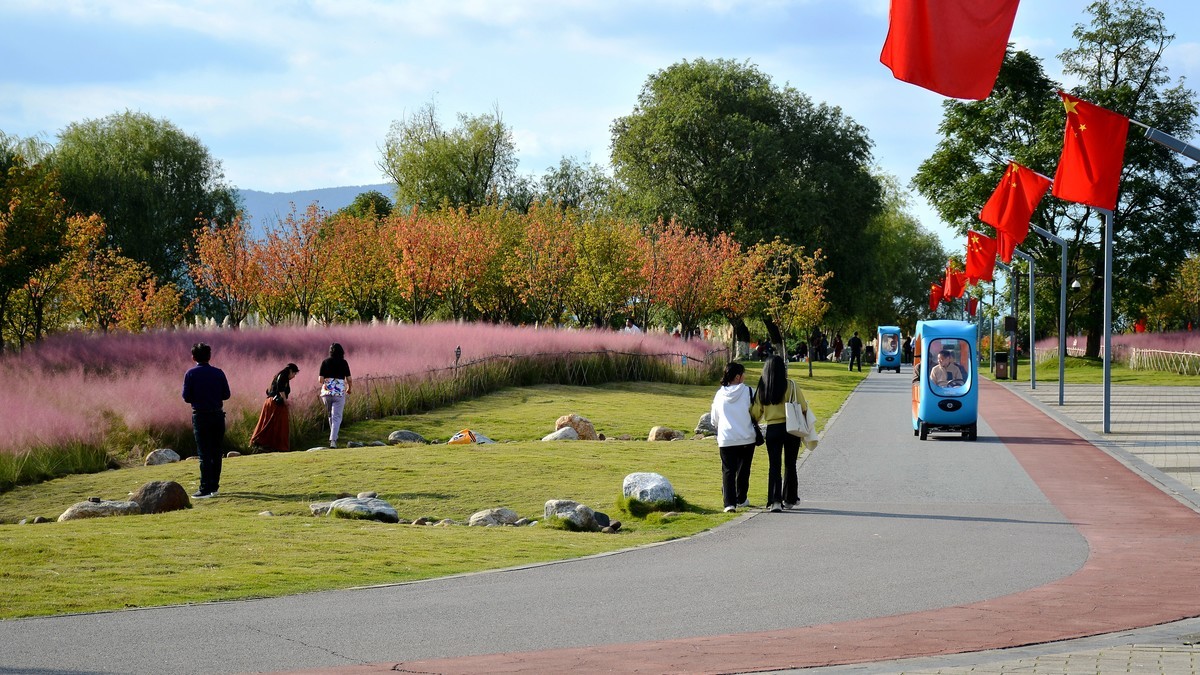 湿地的秋色四（2024033）-中关村在线摄影论坛