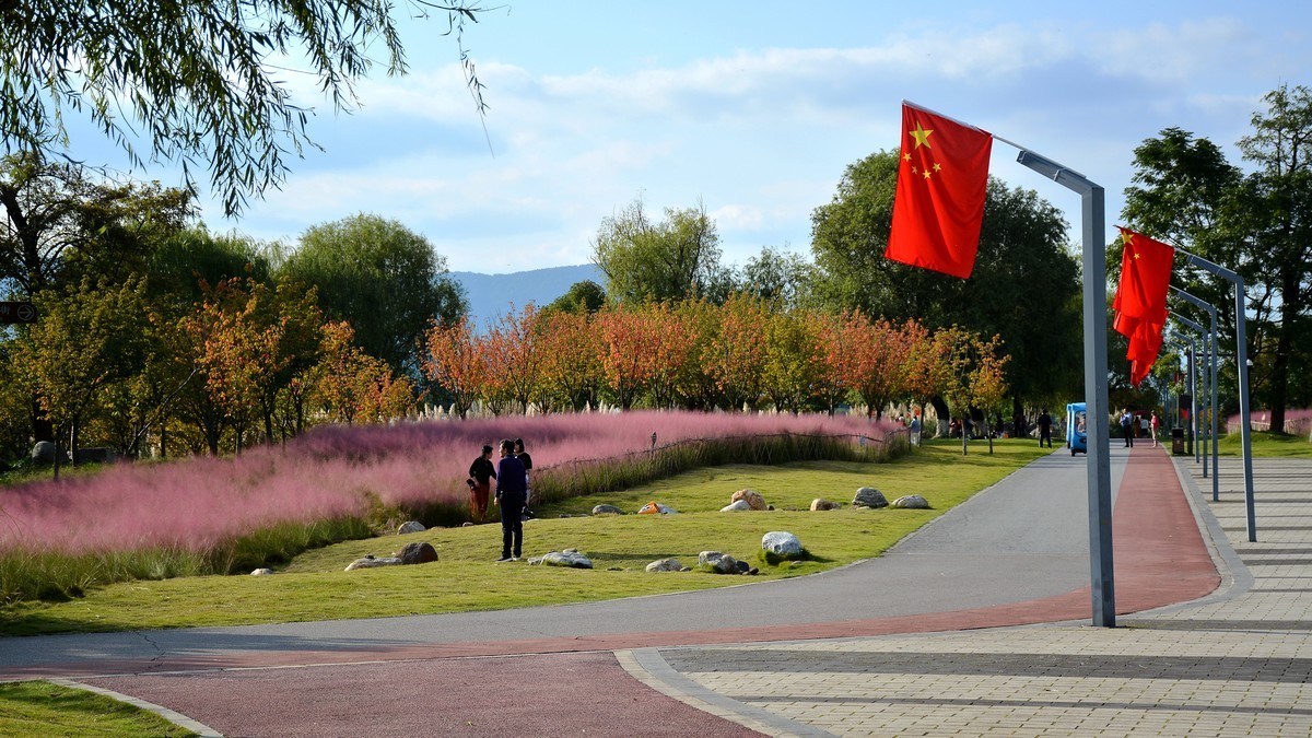 湿地的秋色四（2024033）-中关村在线摄影论坛