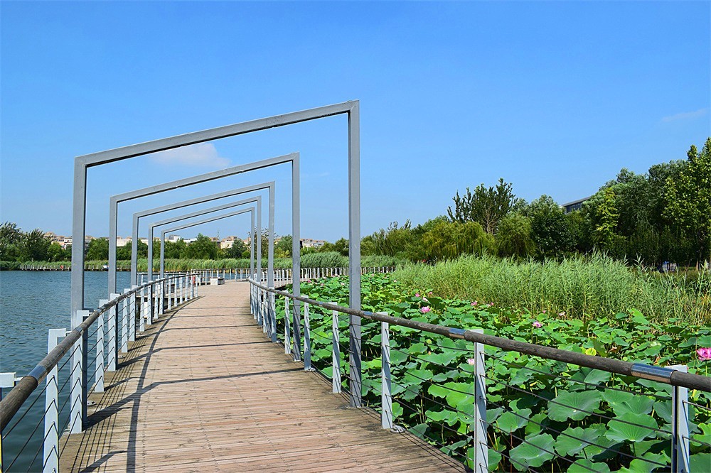 走走·拍拍——-中关村在线摄影论坛