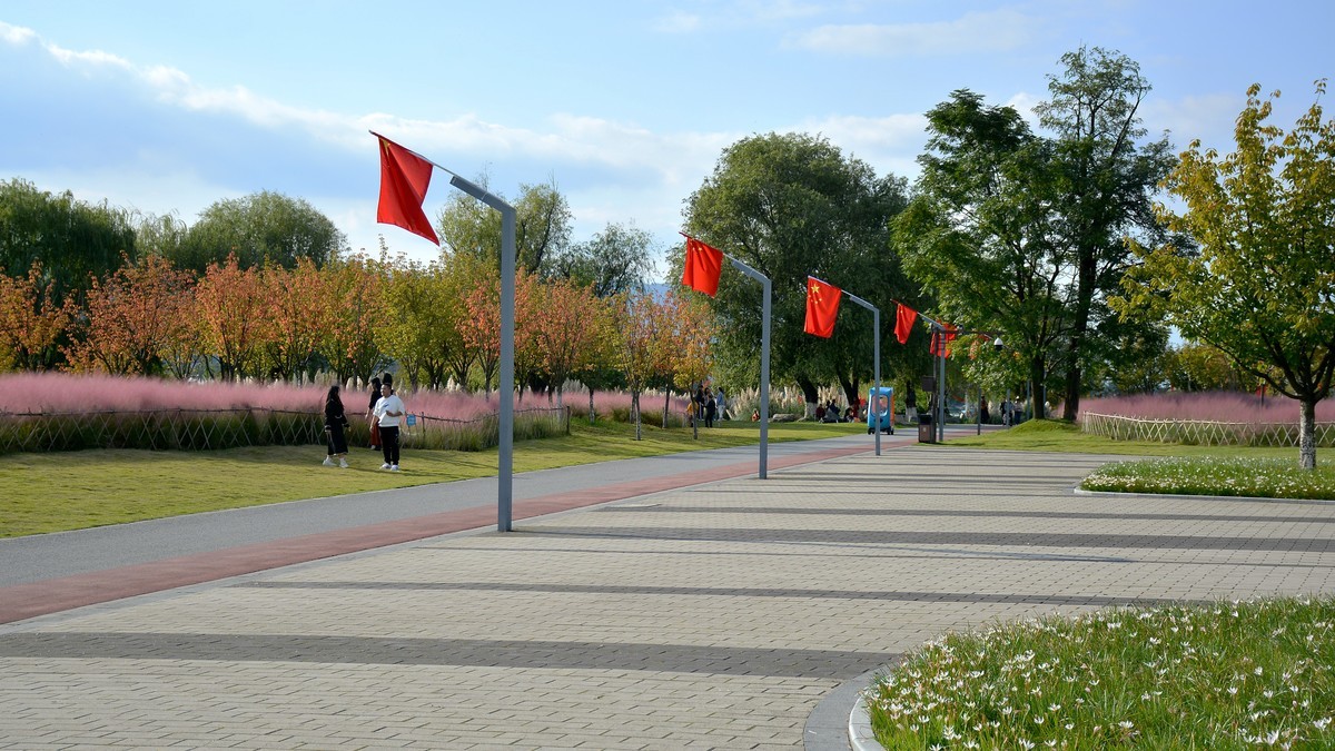 湿地的秋色四（2024033）-中关村在线摄影论坛