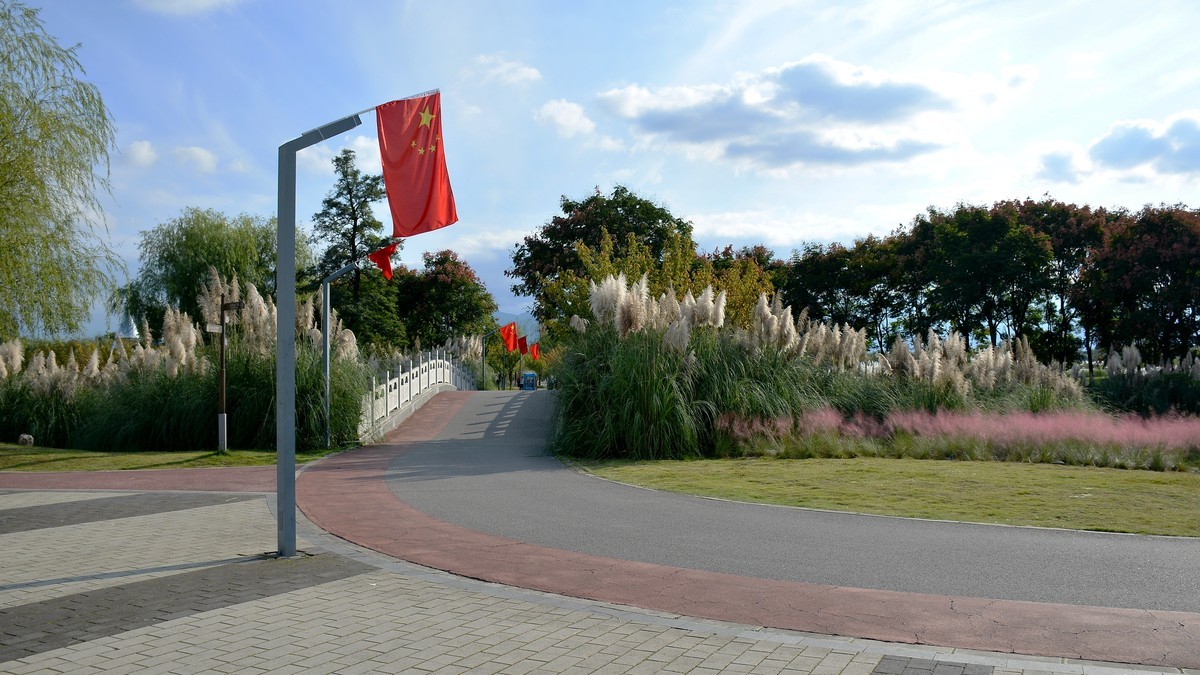 湿地的秋色四（2024033）-中关村在线摄影论坛