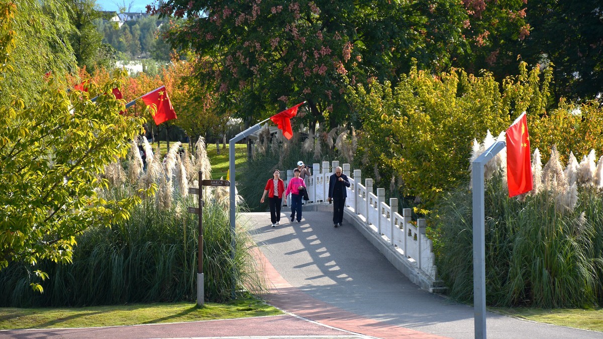 湿地的秋色四（2024033）-中关村在线摄影论坛