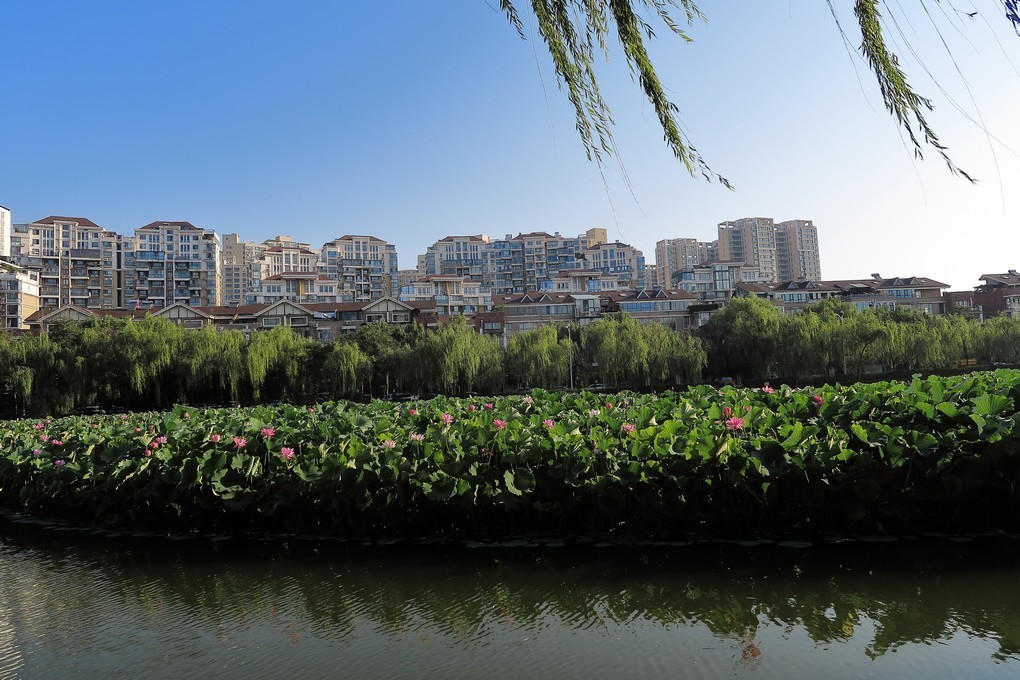 23年风景图（28）-中关村在线摄影论坛