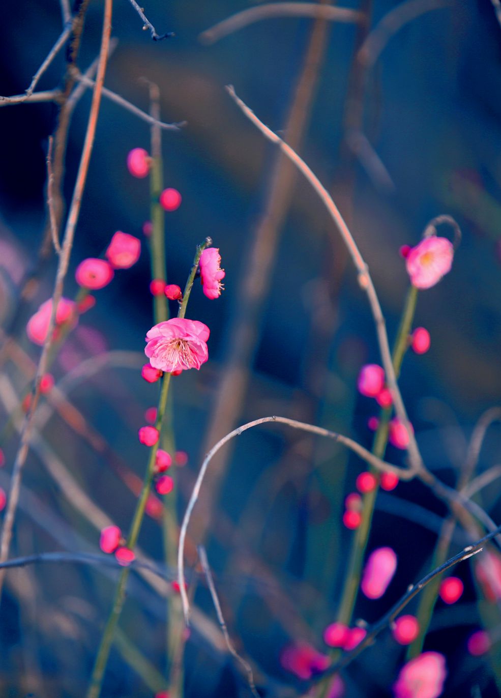 5D人像拍摄-中关村在线摄影论坛