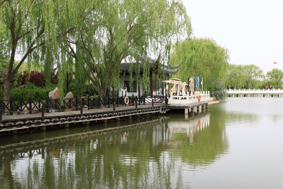 随拍（原图直出）-中关村在线摄影论坛