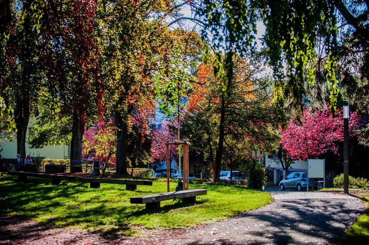 一片“秋色”拜望各位D3/D3S/D4/D4s/D5/D6D系列师友，祝秋日安好！-中关村在线摄影论坛