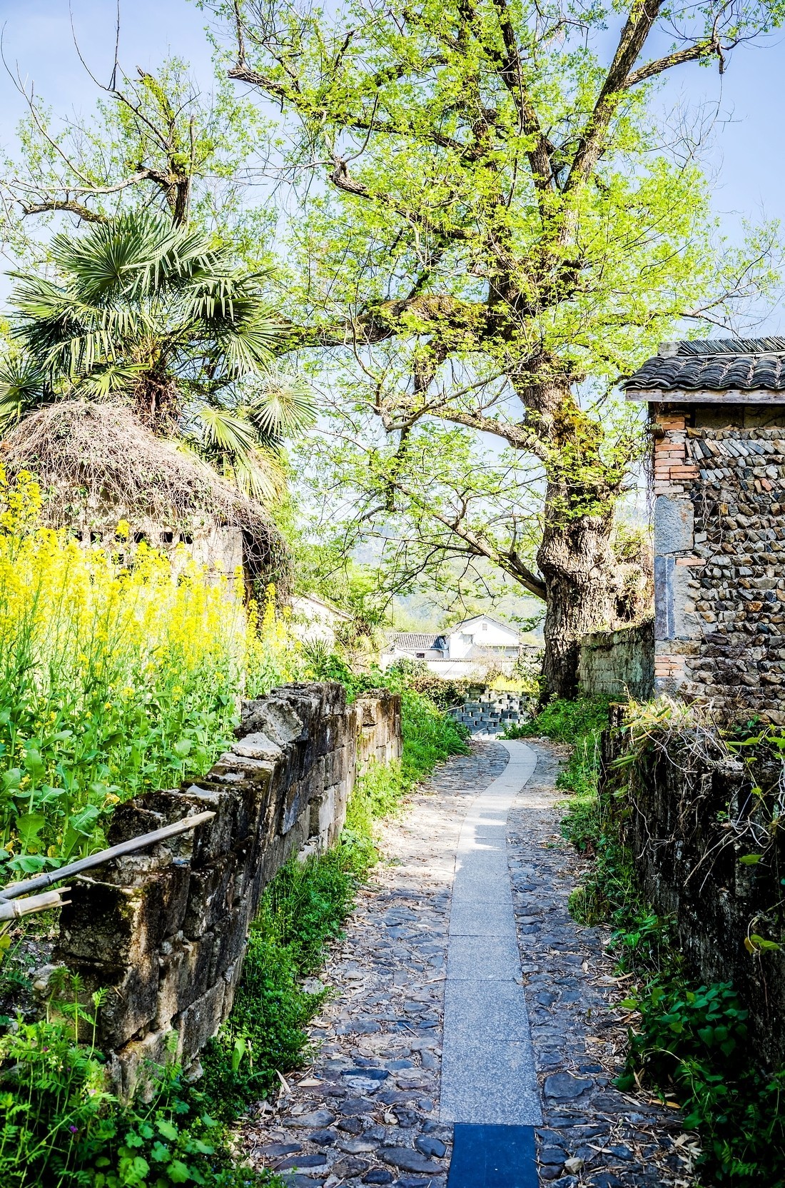 古徽州.南屏村-中关村在线摄影论坛