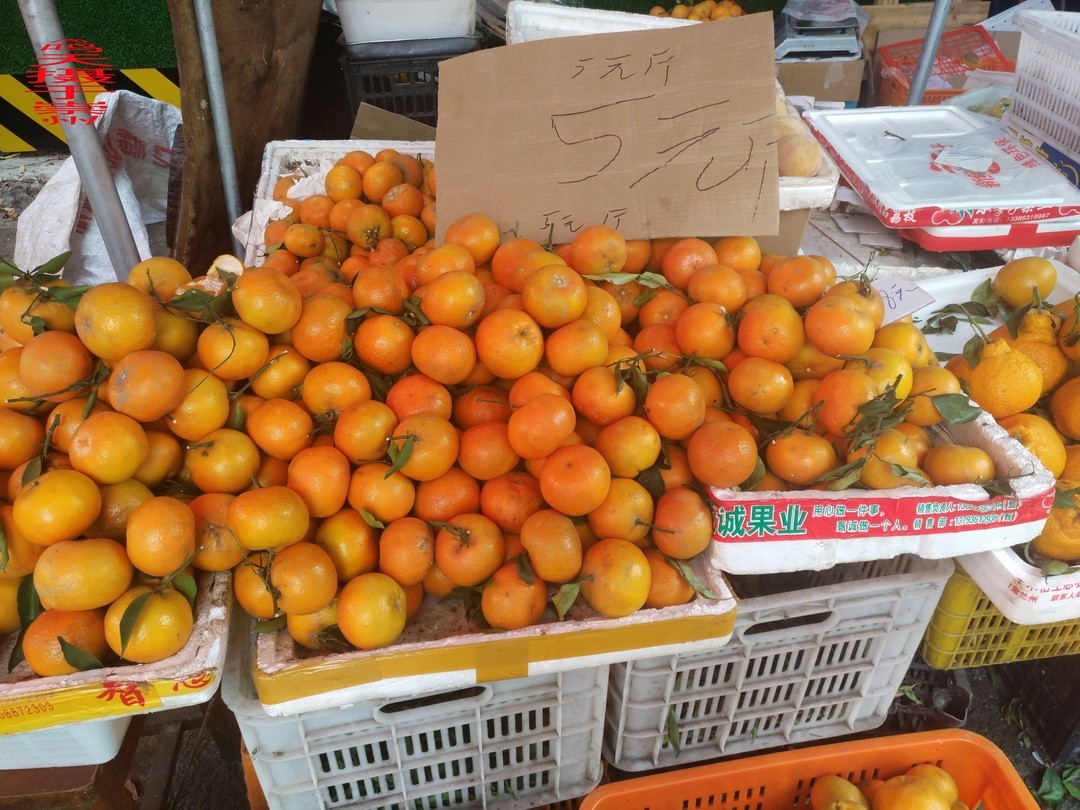 全国唯一的爱国诗人陆游词 周鸣天-中关村在线摄影论坛