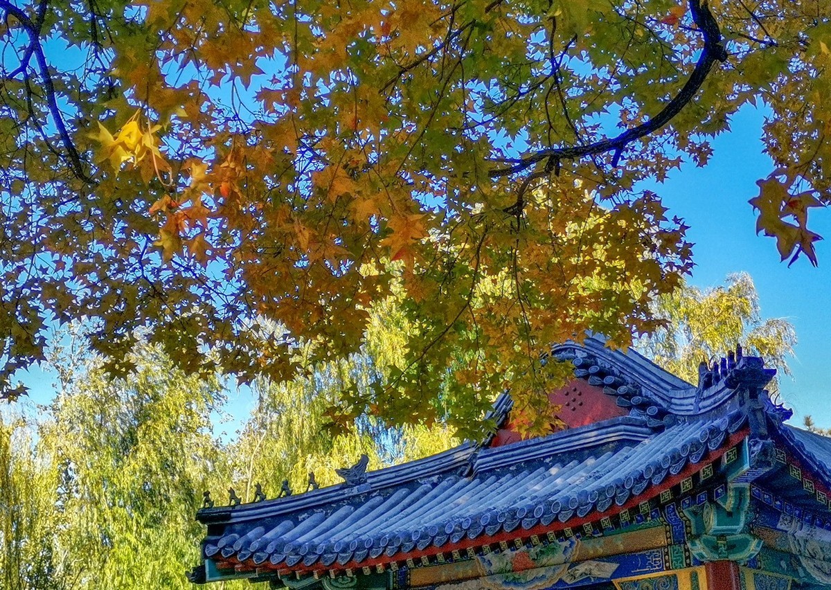 地坛公园（上）-中关村在线摄影论坛