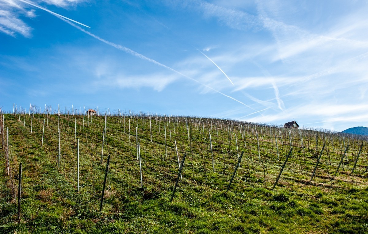 春光南德（黑森林）-中关村在线摄影论坛