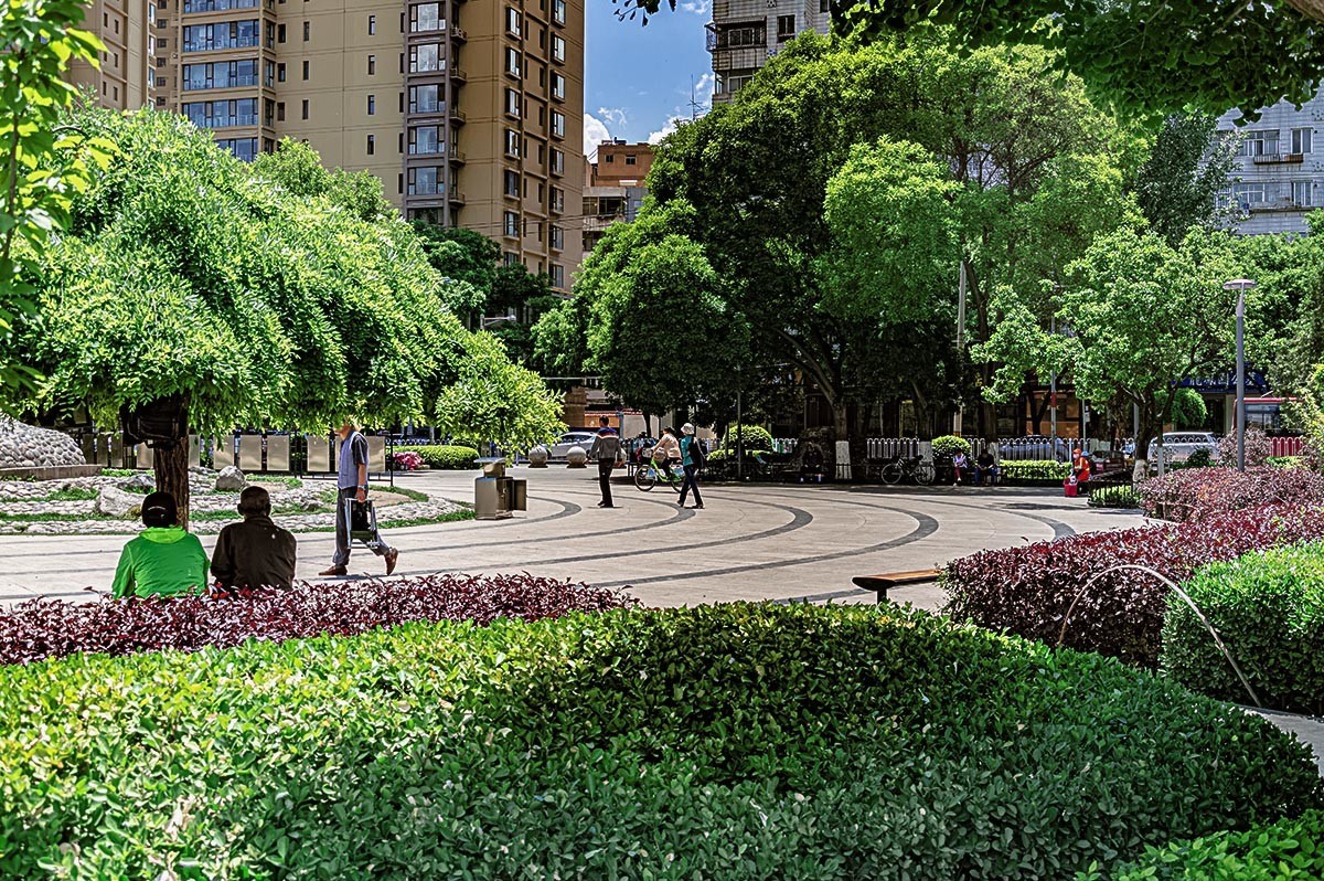 一景一季一乐-中关村在线摄影论坛