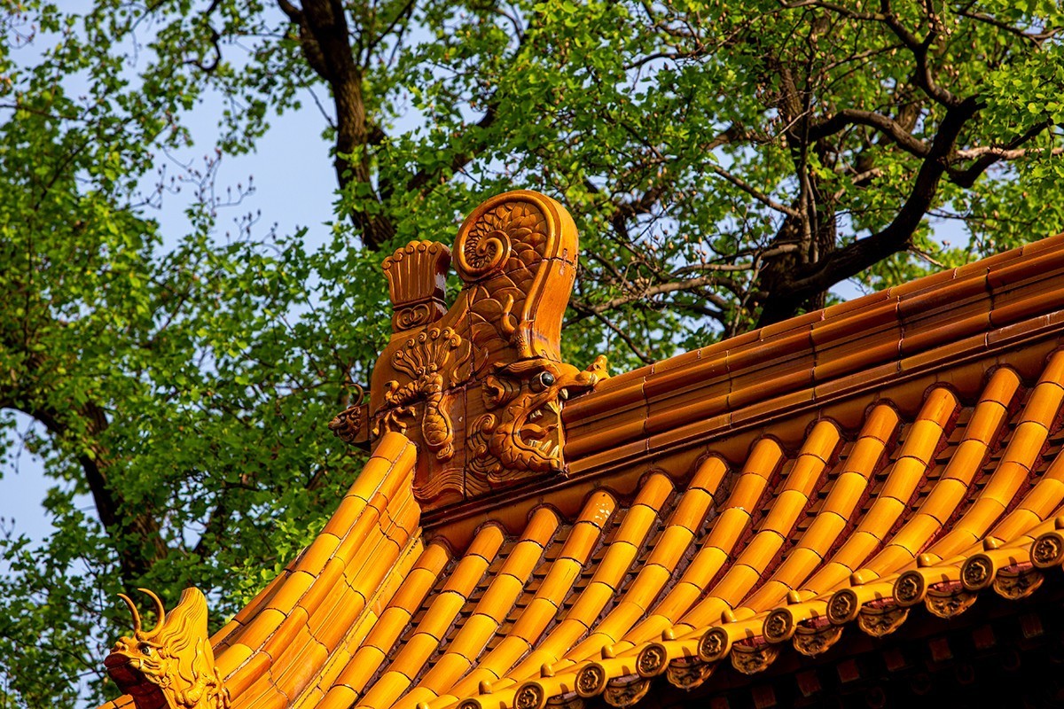 南京明孝陵记录-中关村在线摄影论坛