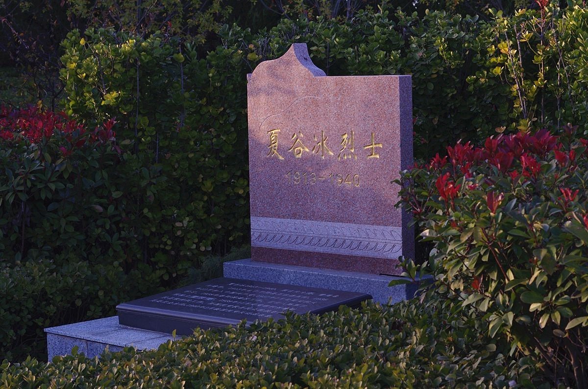 胶州烈士陵园-22P-中关村在线摄影论坛