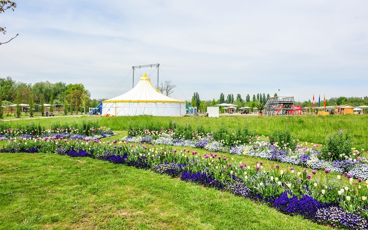 莱茵花博会-中关村在线摄影论坛