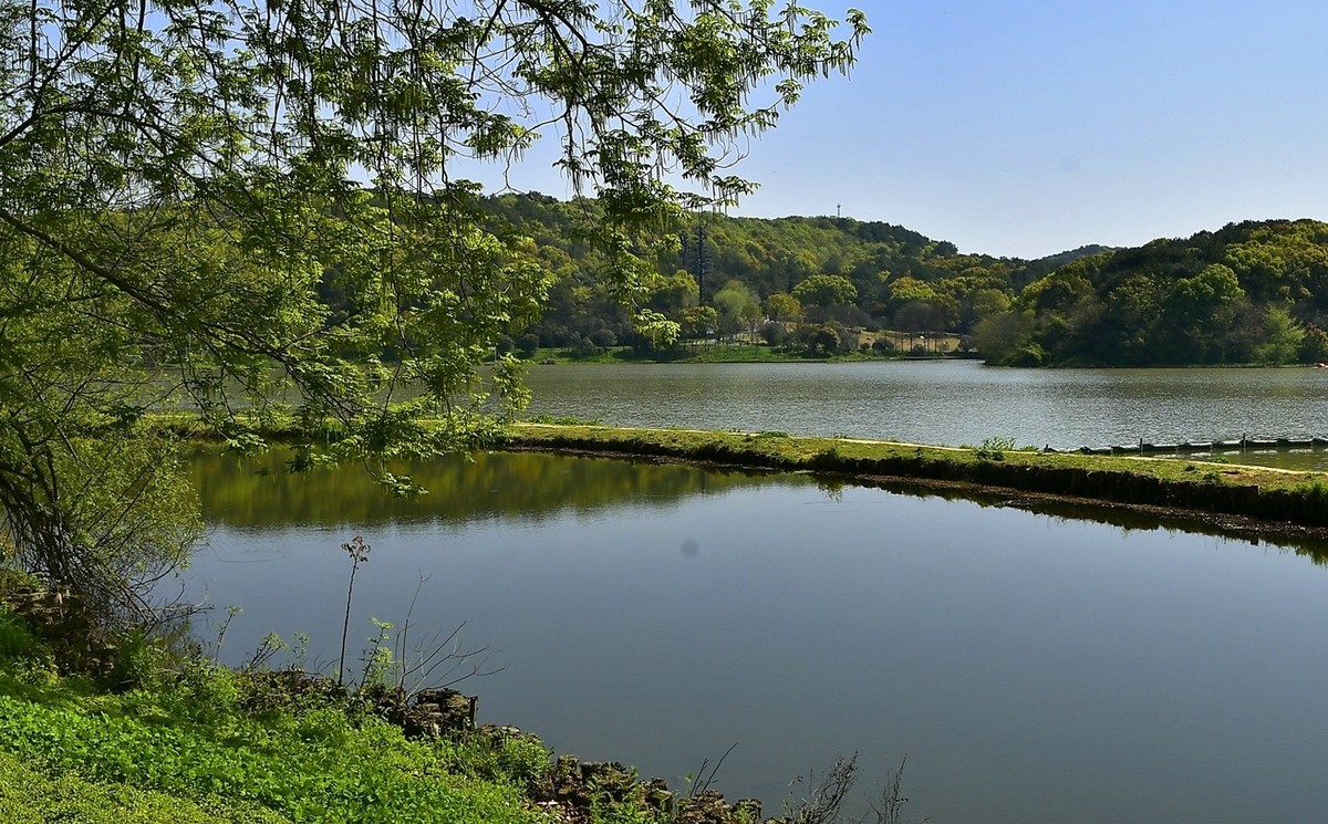 喻家湖-中关村在线摄影论坛
