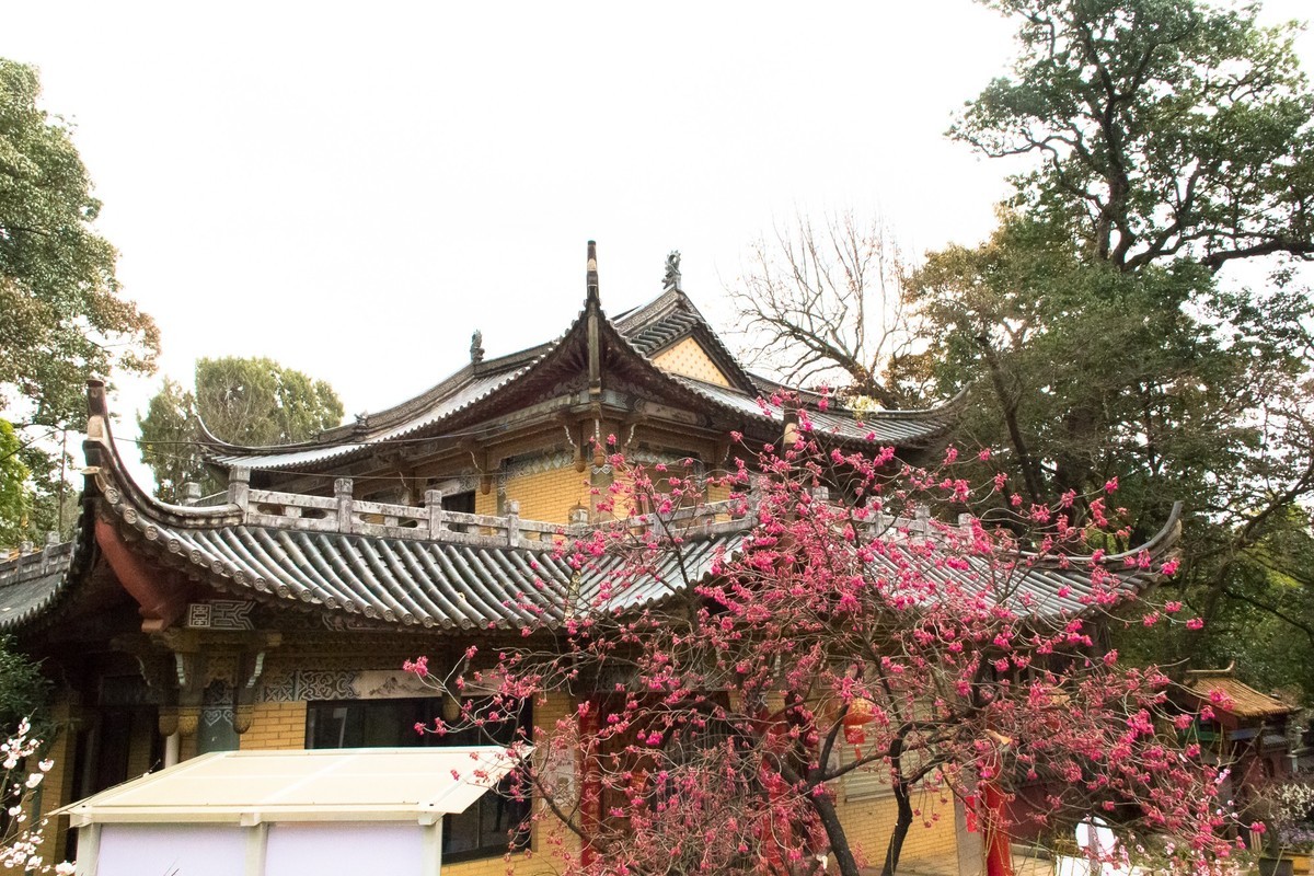 昆明黑龙潭公园-中关村在线摄影论坛