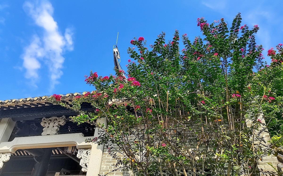 24344 ─ 顺德北滘和园（5）-中关村在线摄影论坛