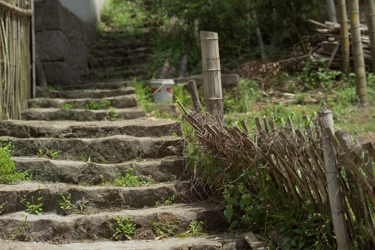 进山。。。-中关村在线摄影论坛