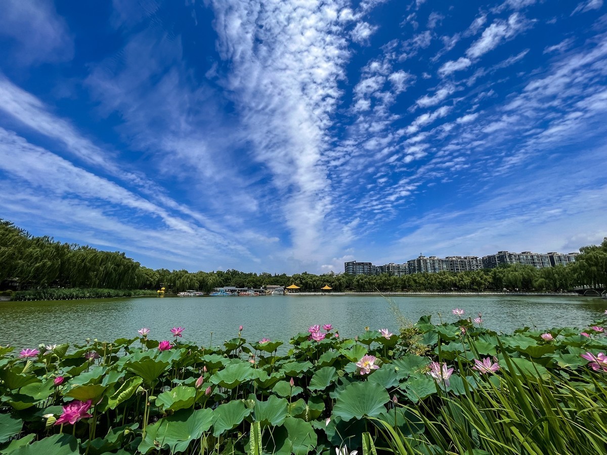 2023年第0484贴-陶然亭公园蓝天拍（0705）-中关村在线摄影论坛