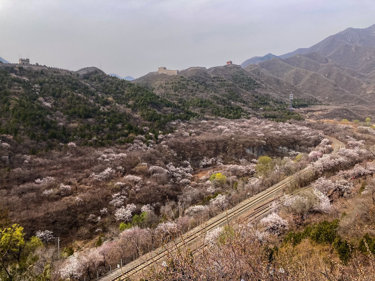 2023年第0363贴-居庸关抓拍（0522F）-中关村在线摄影论坛