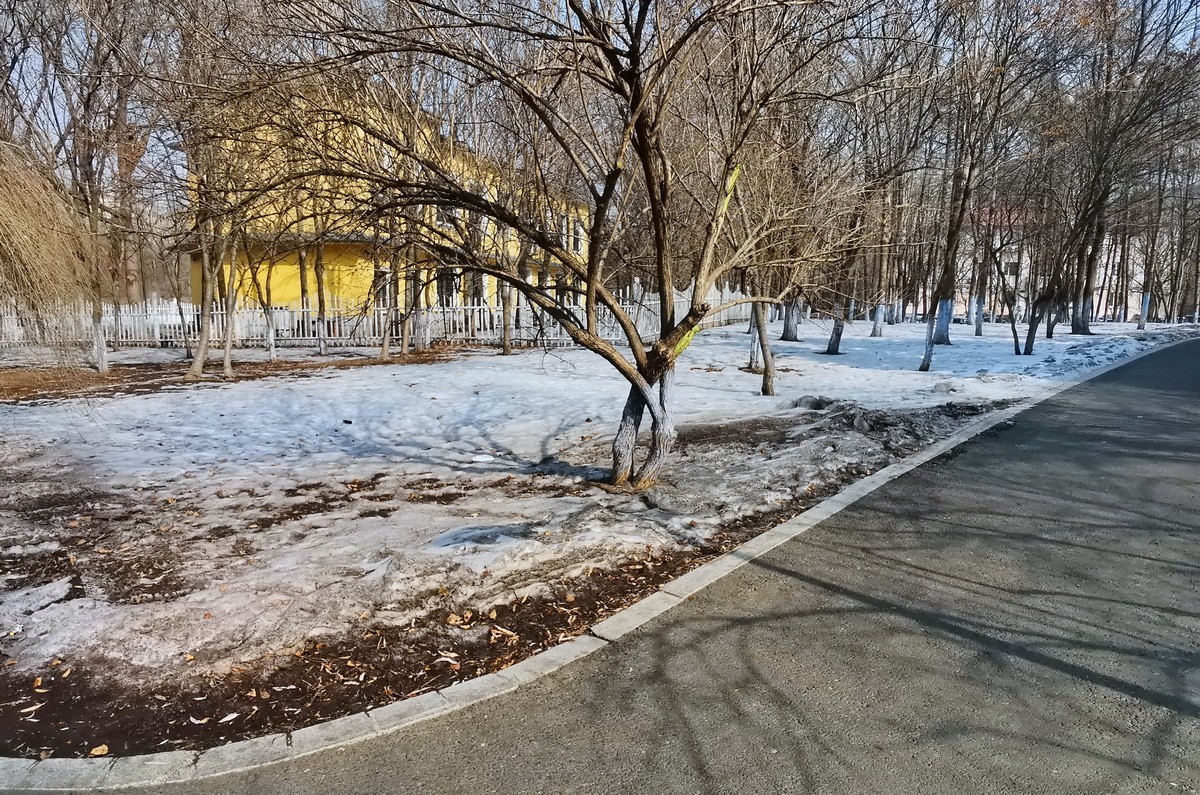 2023.2.27 黛秀湖冰场-中关村在线摄影论坛