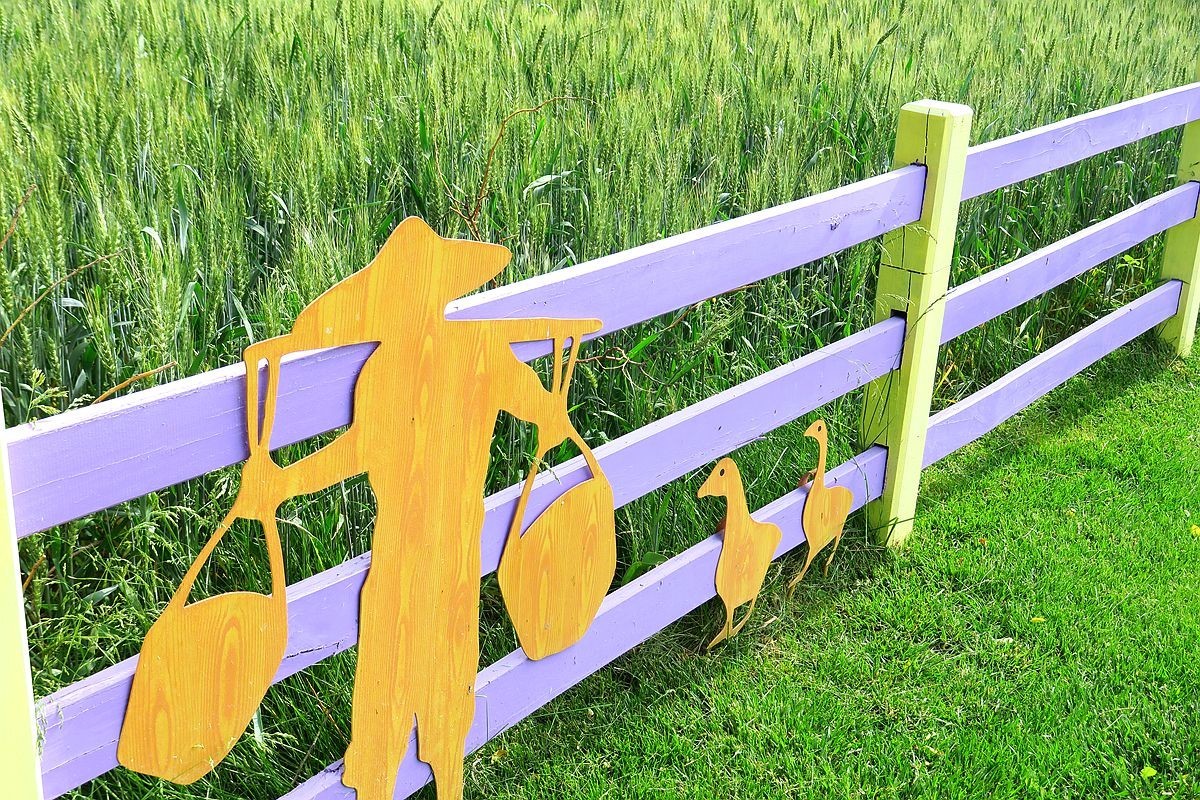 开心农场的小块麦子地-中关村在线摄影论坛