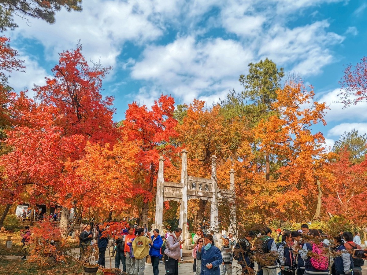 天平山手机版（3）-中关村在线摄影论坛