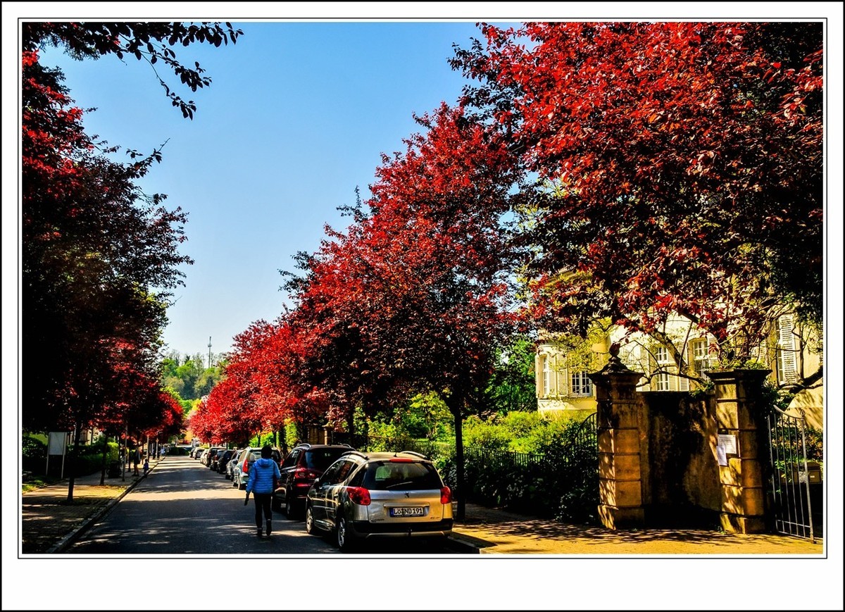 南德街拍之一-中关村在线摄影论坛