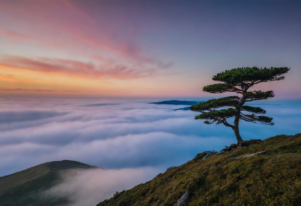 云蒸霞蔚中的自我发现-中关村在线摄影论坛