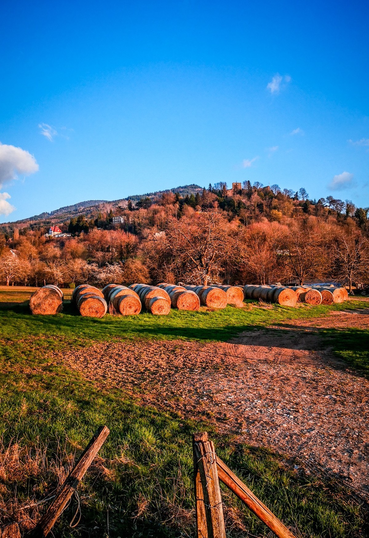 夕阳光影-中关村在线摄影论坛