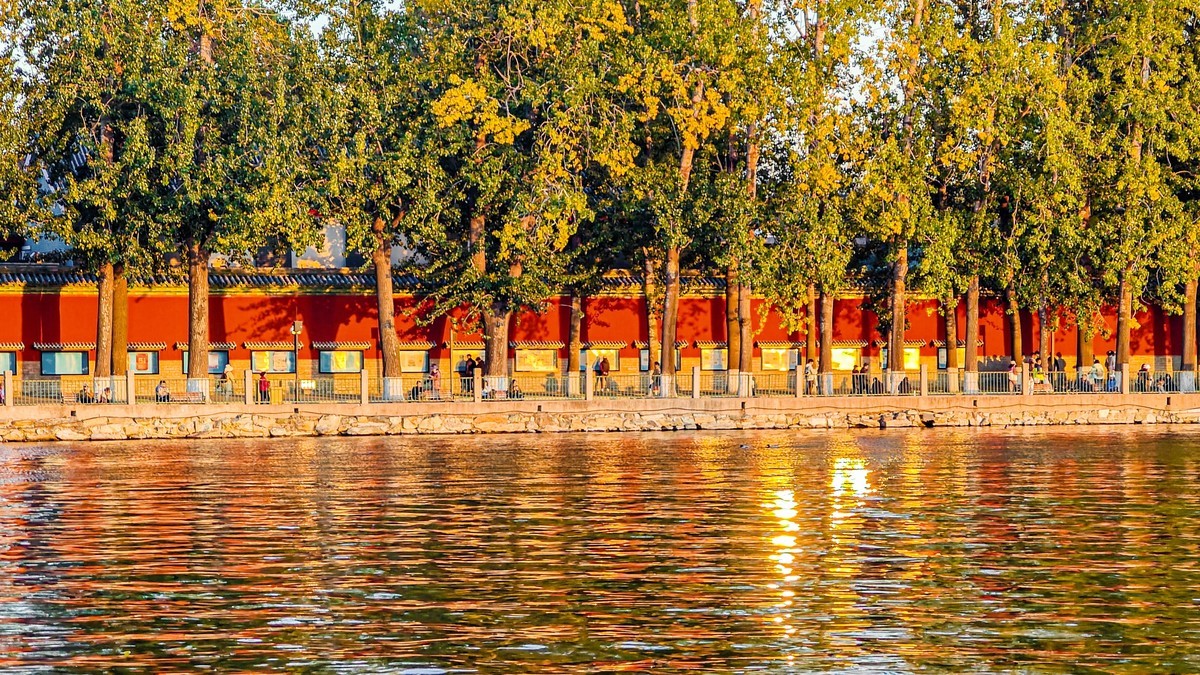 手机游拍20241105《26》-中关村在线摄影论坛