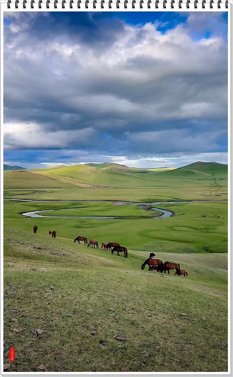 2024年-新疆风光纪实抓拍-0534-中关村在线摄影论坛