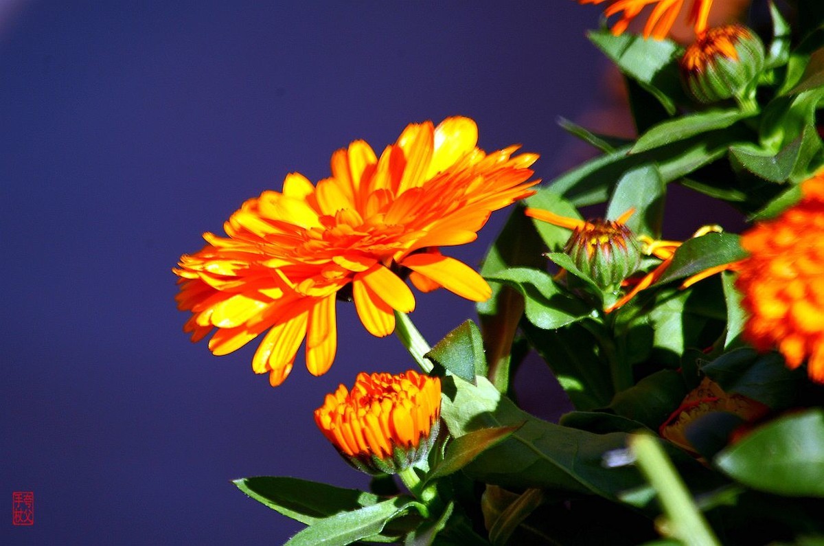 民族体育场-中关村在线摄影论坛