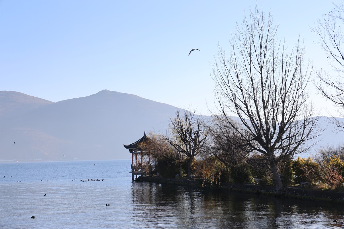 彩云之南-中关村在线摄影论坛