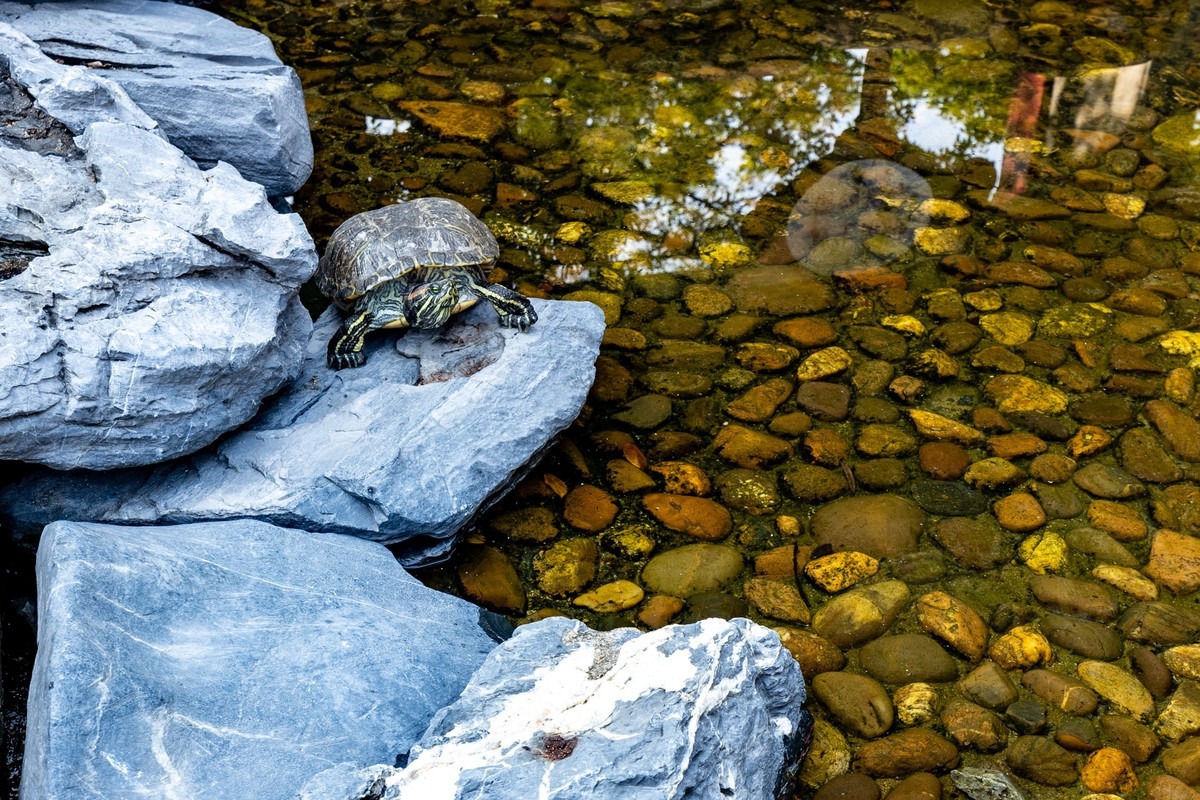 玄圆道观（八）-中关村在线摄影论坛