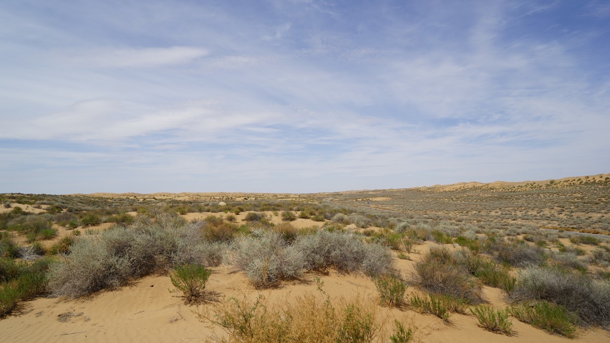 大西北的戈壁滩-中关村在线摄影论坛