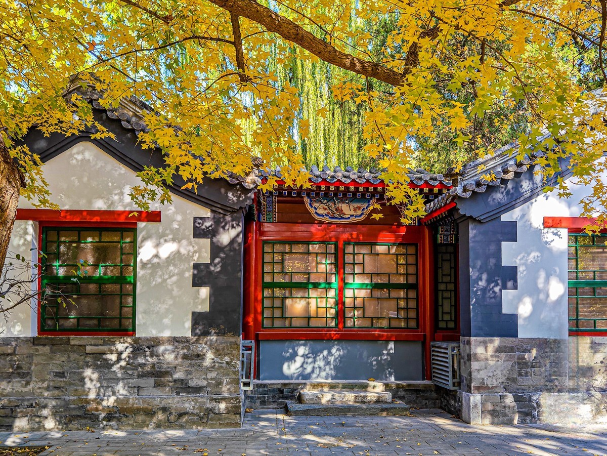 手机游拍20241105《22》-中关村在线摄影论坛